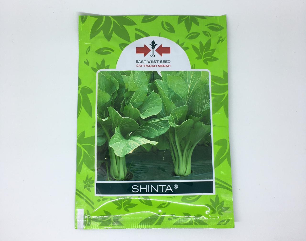 CARA MENANAM SAWI CAISIM SHINTA YANG BAIK DAN BENAR, AGAR TIDAK GAGAL ...