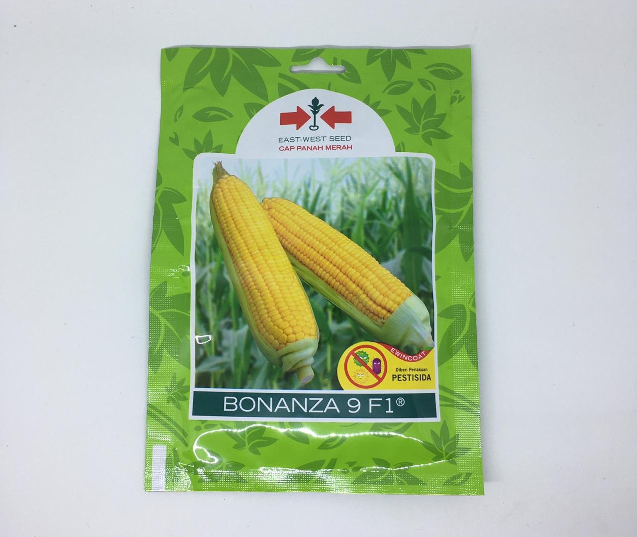 Cara Menanam Jagung Manis Hibrida Bonanza F1 di Pekarangan Rumah dengan ... Cara Menanam Jagung Manis Hibrida Bonanza F1 di Pekarangan Rumah dengan ...